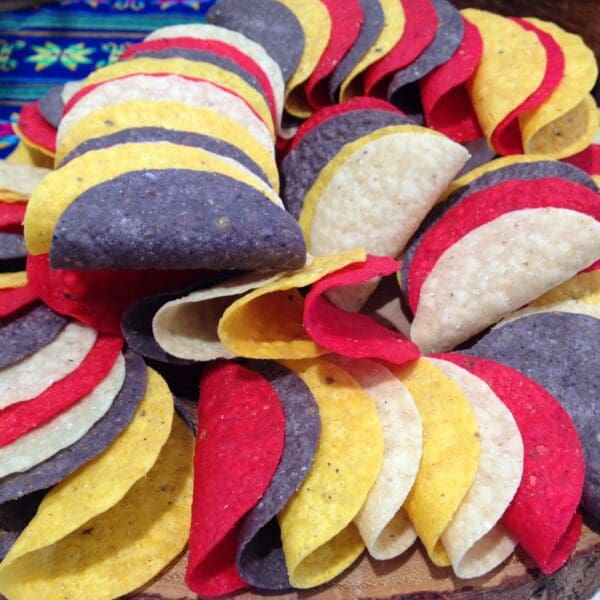 minitacowinner1262 - Order Mini Taco Shells